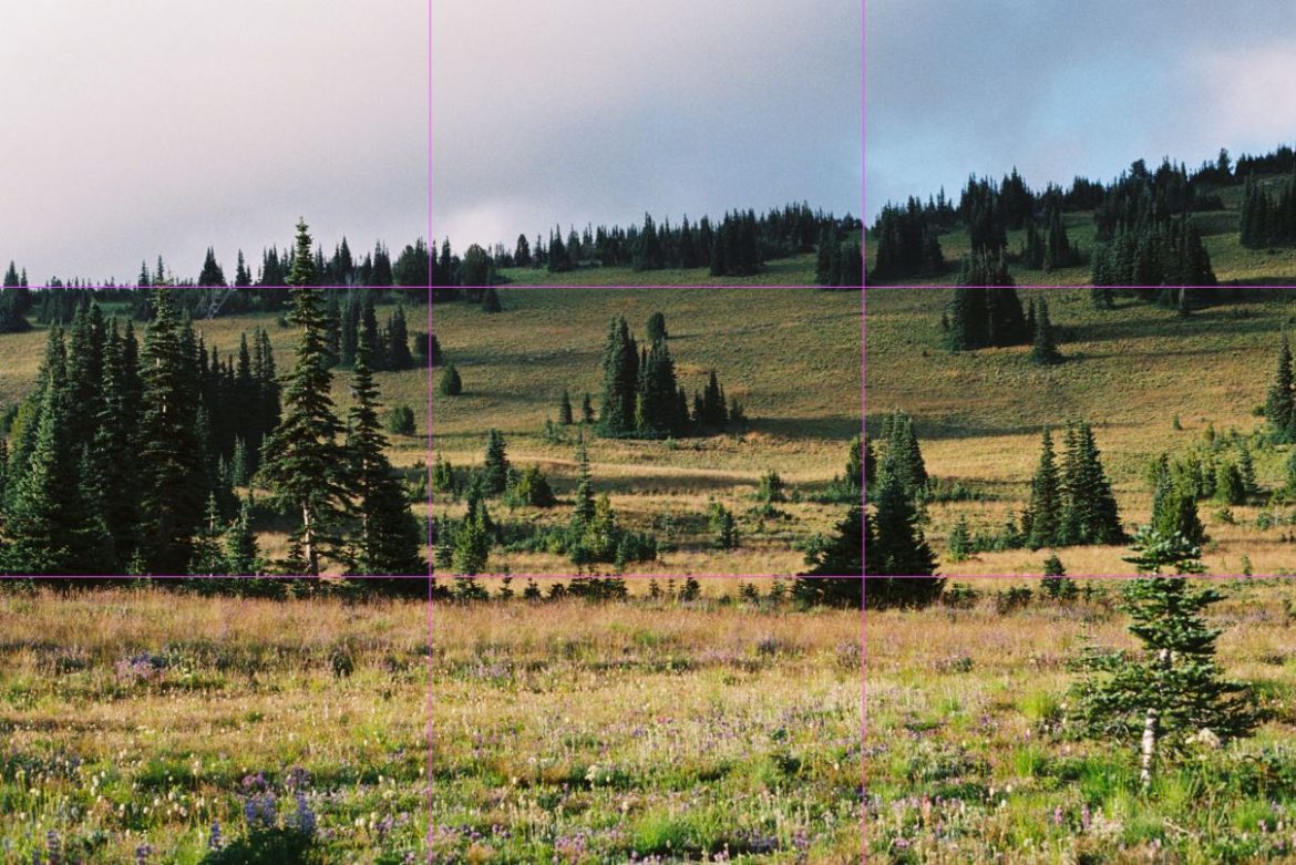 Rule of Thirds in Film Photography (With 6 Examples)