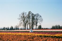 How to Fill the Frame for Stunning Photos (with Real World Examples)