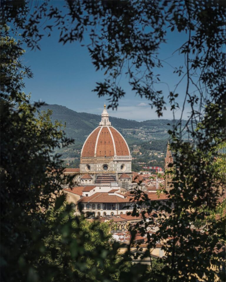 How to Fill the Frame for Stunning Photos (with Real World Examples)