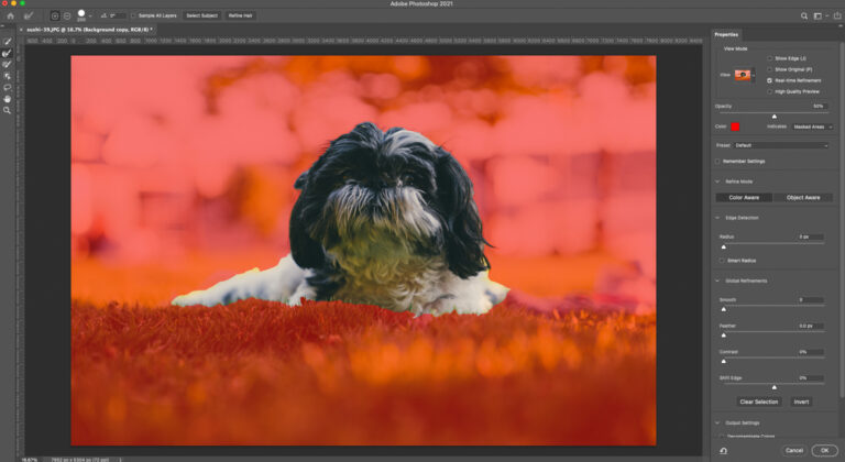 How to Outline an Image in Photoshop