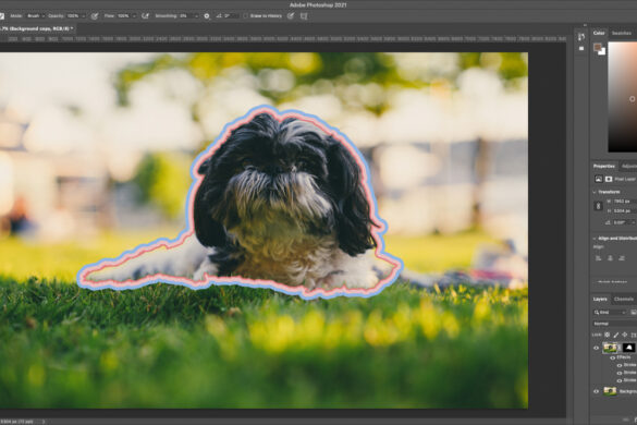 Photoshop DDS Plugin: The Ultimate Guide to Using It - Wit and Folly