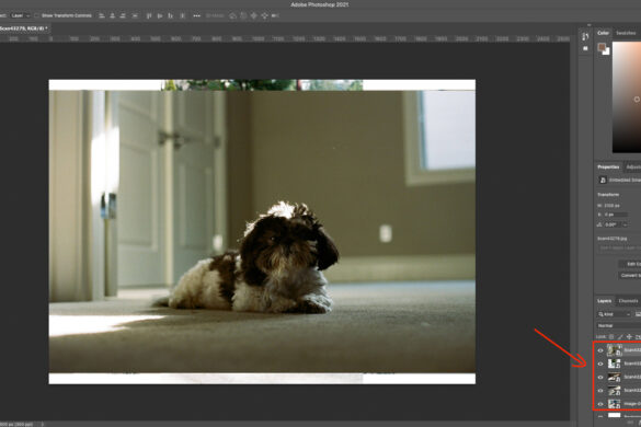 Photoshop DDS Plugin: The Ultimate Guide to Using It - Wit and Folly
