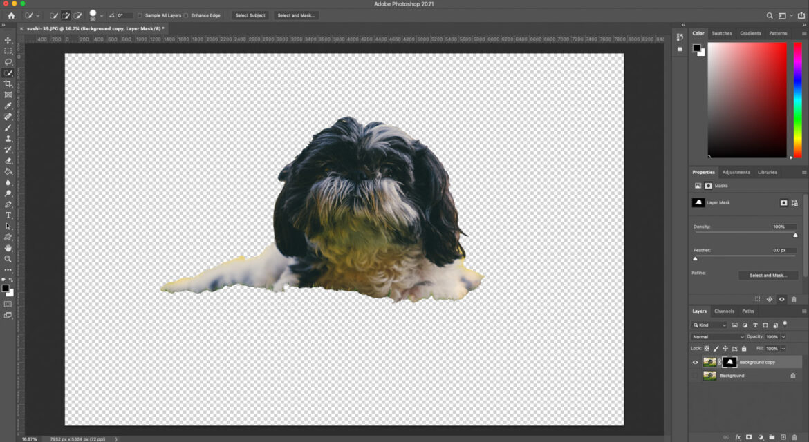 How to Outline an Image in Photoshop